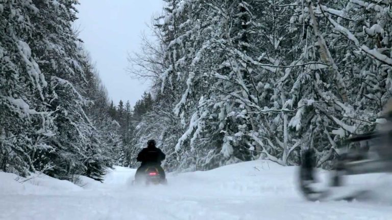 Wawa Public Library – It takes a library to raise a community.